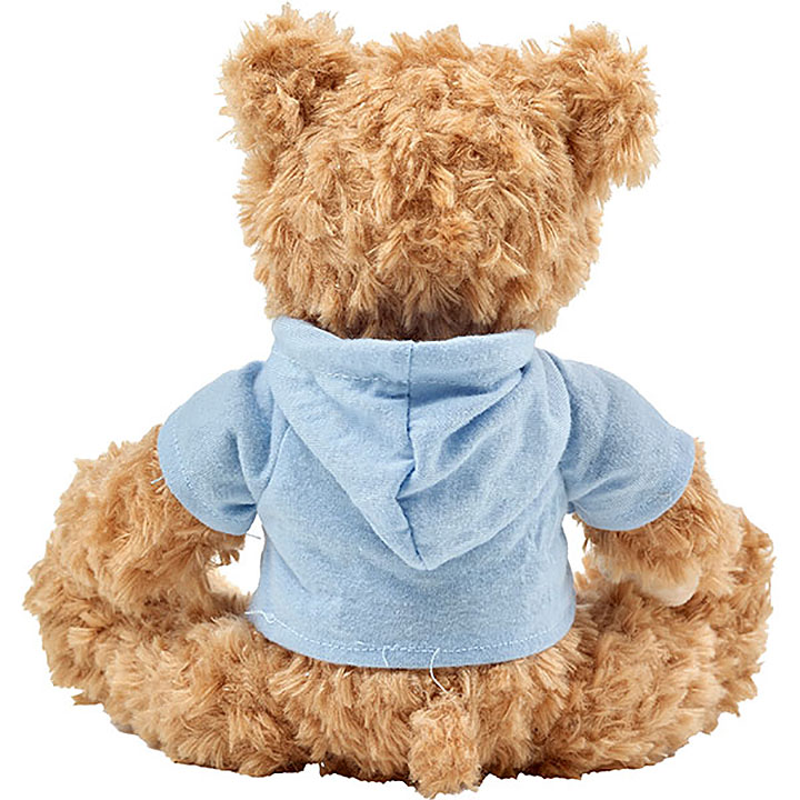 Teddy Bear with Hoodie | LSi