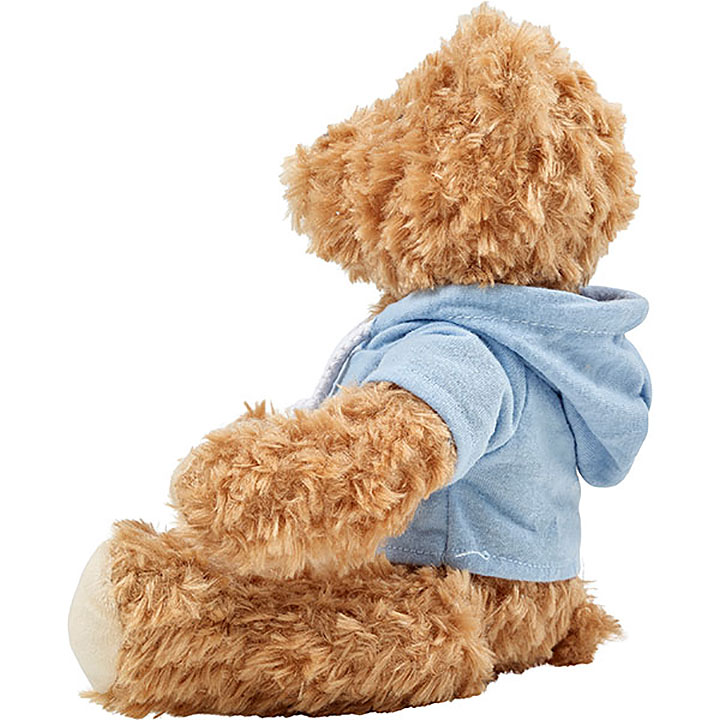 Teddy Bear with Hoodie | LSi