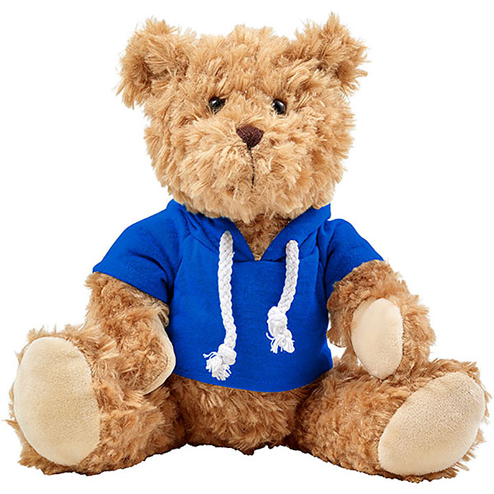 Teddy Bear with Hoodie | LSi