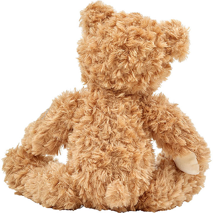 Teddy Bear with Hoodie | LSi