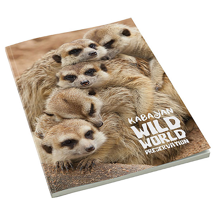 A4 Smart Book | LSi