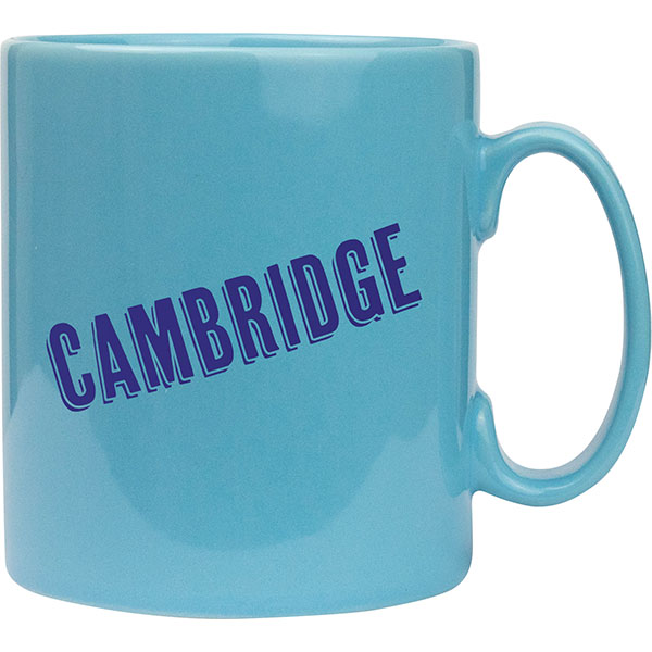 Cambridge Mug - Coloured | LSi